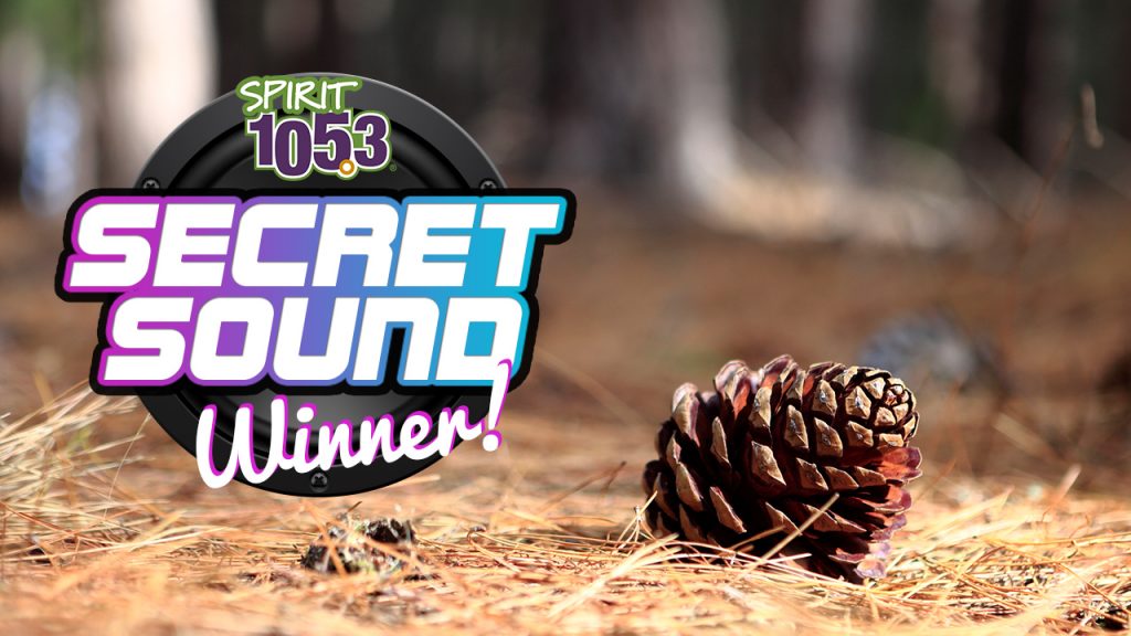 Spirit 105.3 Secret Sound Winner - United Faith Mortgage