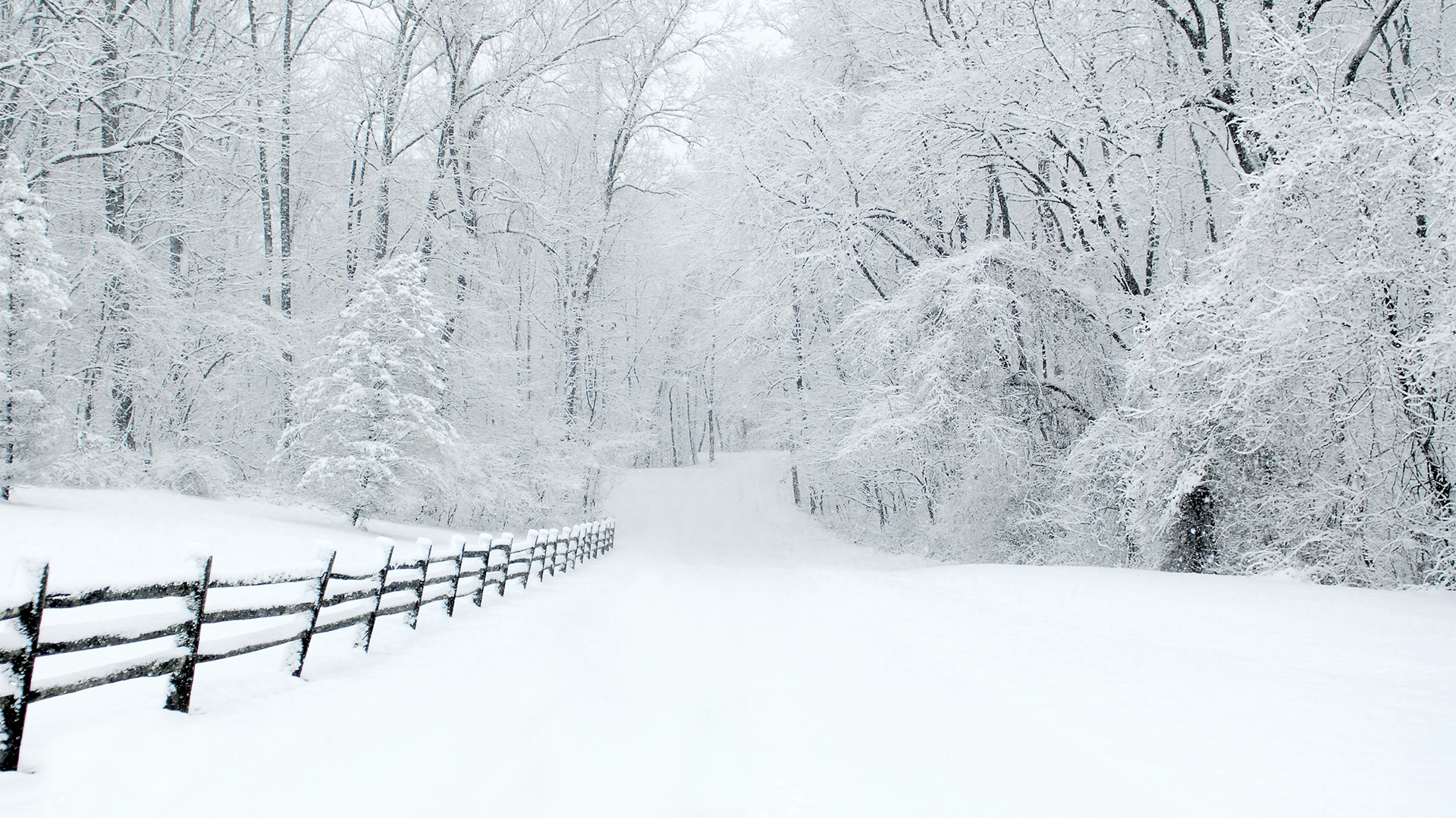 Winter Storm Prep This Weekend: January 24–25, 2026 - United Faith Mortgage